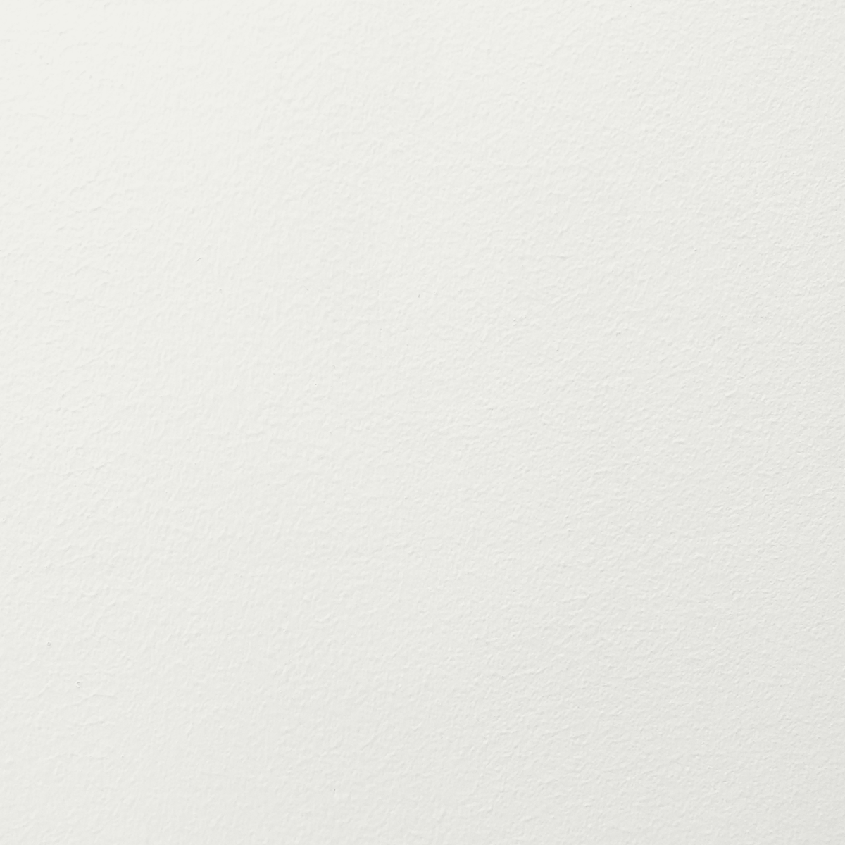 002 EMILY – Paper white is een traditionele witte verftint