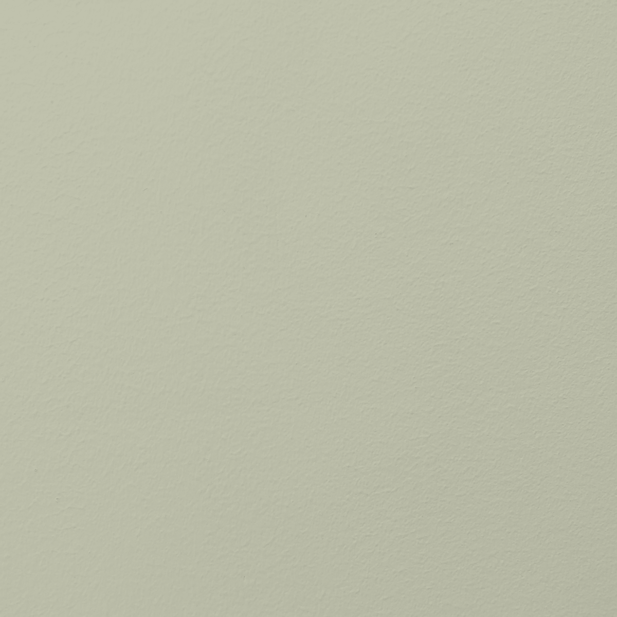 HERMANN matte finish interior paint, pale green