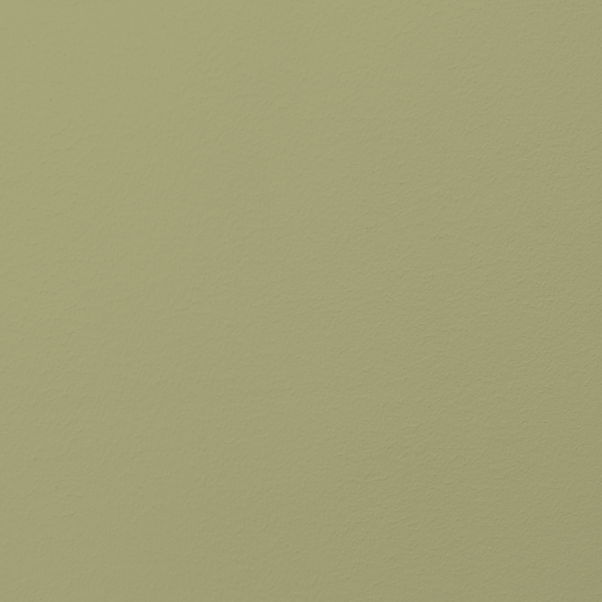 TONI matte finish interior paint, mud green