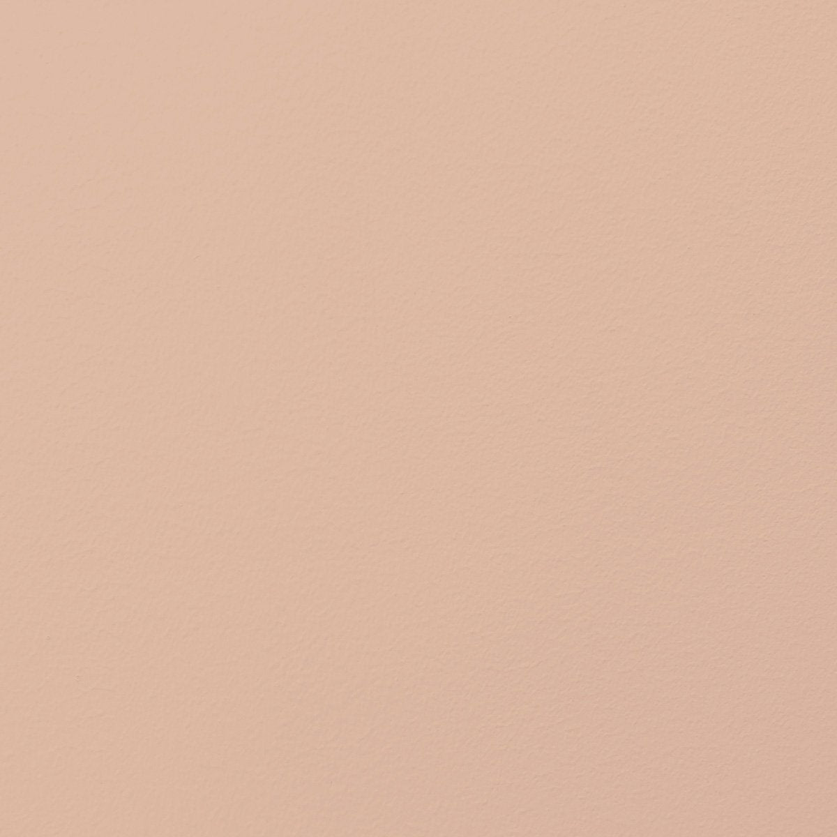EDITH matte finish interior paint, dusty pink